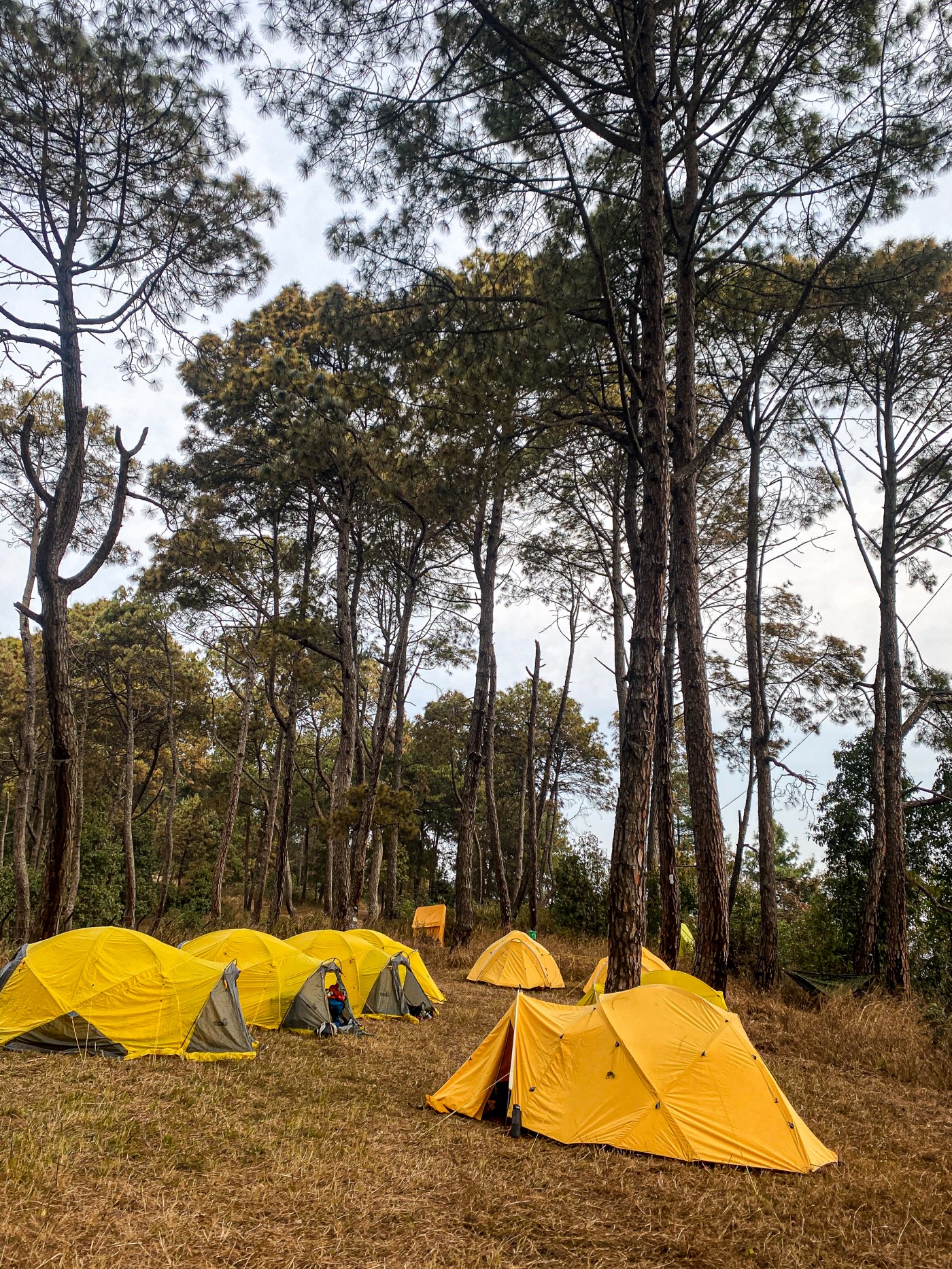 Best Camping Spots In Nepal: A Short Hike Guide